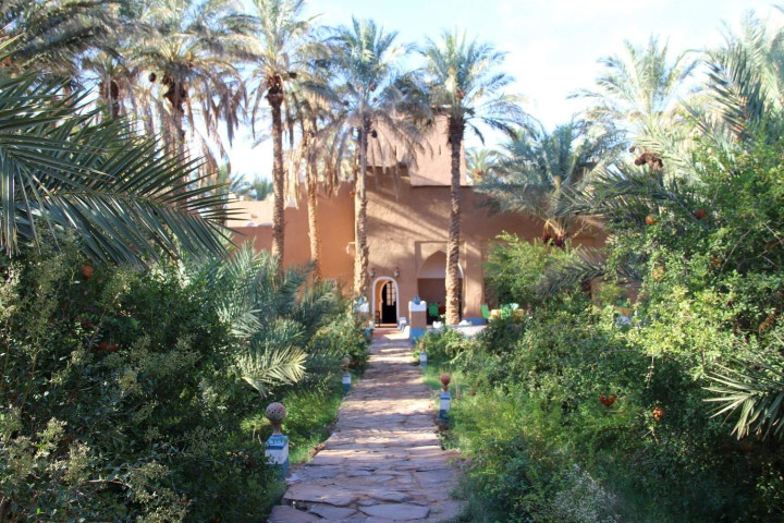 Riad Tagmadarte Ferme D'hôte - Zagora