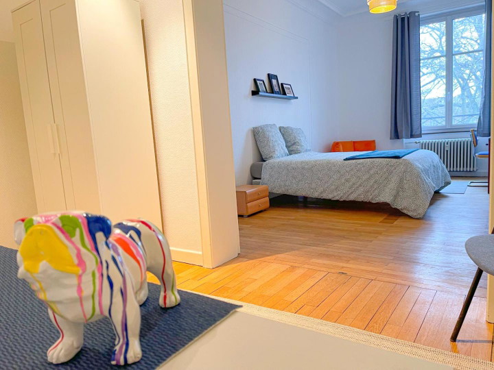 Chambres Privées -Private Room- Dans Un Spacieux Appartement - 100m2 Centre Proche Gare - Mulhouse