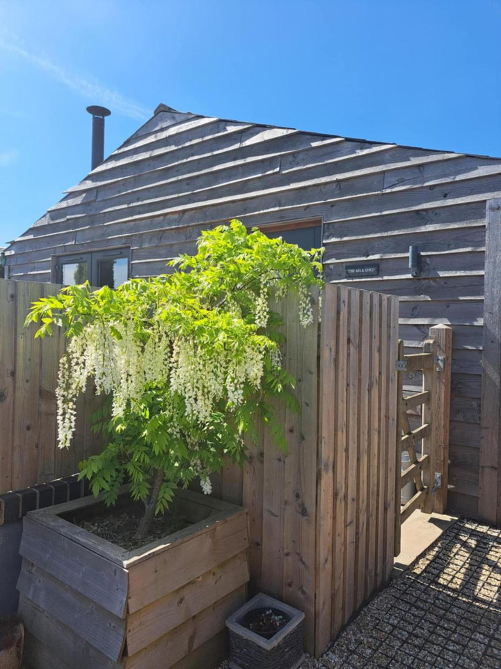 Milk Shed - Crewkerne