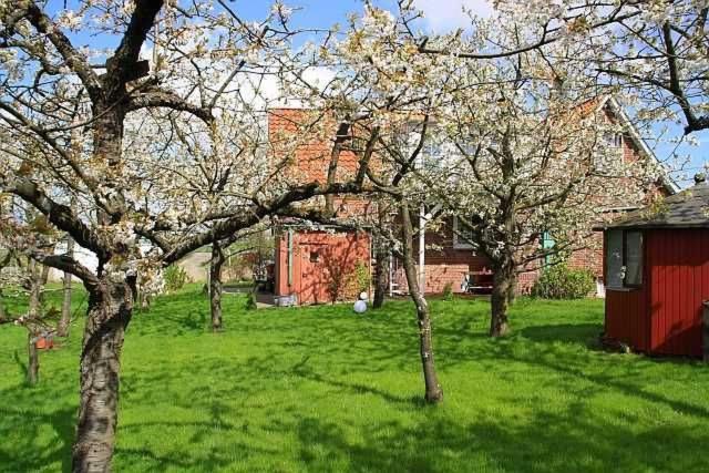 Knubberhaus Das Ferienhaus Im Kirs - Wedel