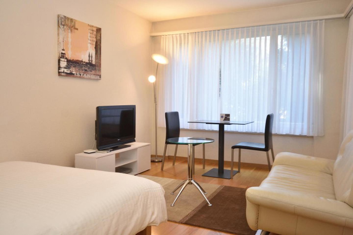 Nice Studio In The City Center - Vineyard 11 - Zürich