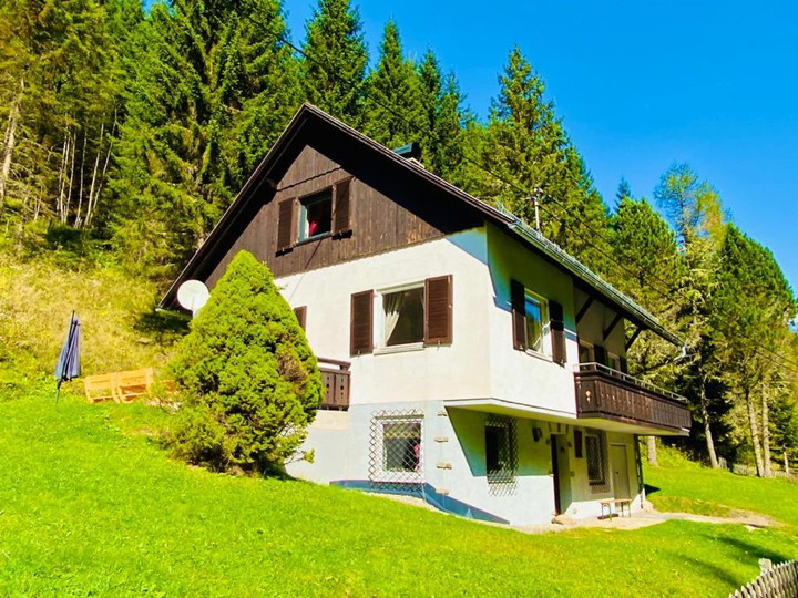 Wildbach Chalet Turrach - Austria