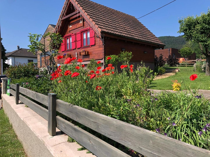 Chalet Colline Et Lou - Colmar