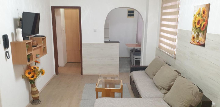 City Center Apartment 1 - Serbia