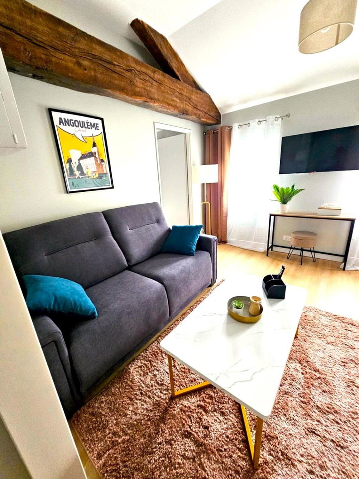 G6 Appartement Climatisé Au Calme Centre Angouleme - Angoulême