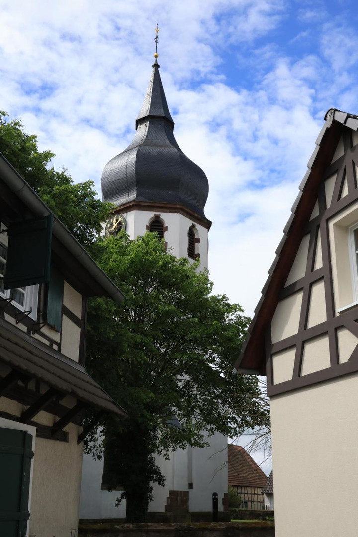 Le Clos De La Vieille Dame - Haguenau