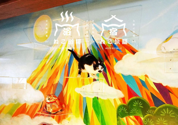 Cat Spa & Cat Ryokan By Neco Republic Osaka - 梅田