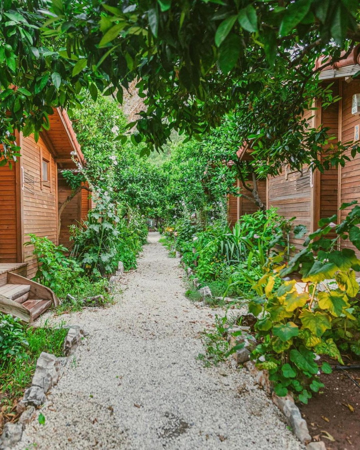 Olympos Sheriff Bungalow - Turkey