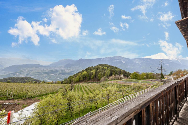 Malgorerhof Sonja - Bolzano