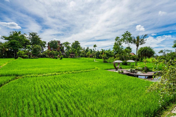 Kajane Yangloni At Ubud Bali - Bali