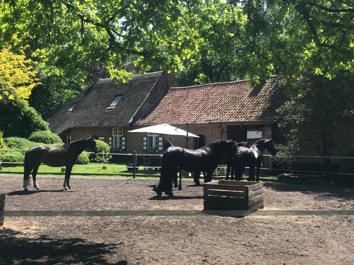De Swaenhoeve - Lille, Belgium