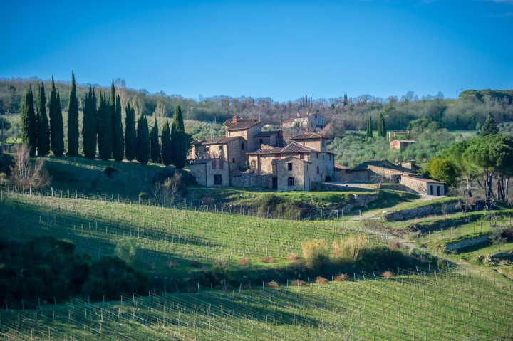 My Exclusive Italy - Chianti's Villa With Vineyard, Infinity Pool & View - Radda in Chianti