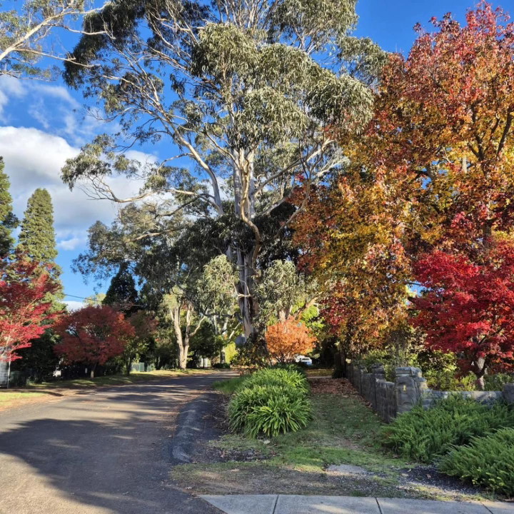 Fenway Cottage - Moss Vale