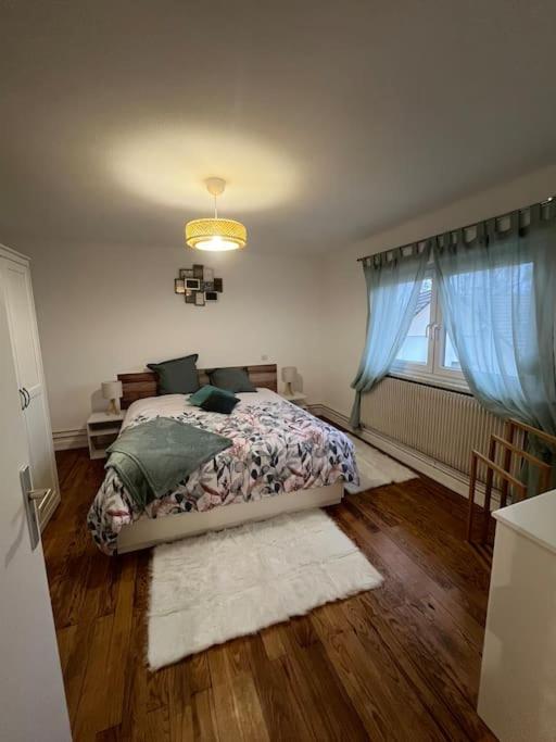 Chez Suzi - Appartement Entièrement Rénové - Haguenau