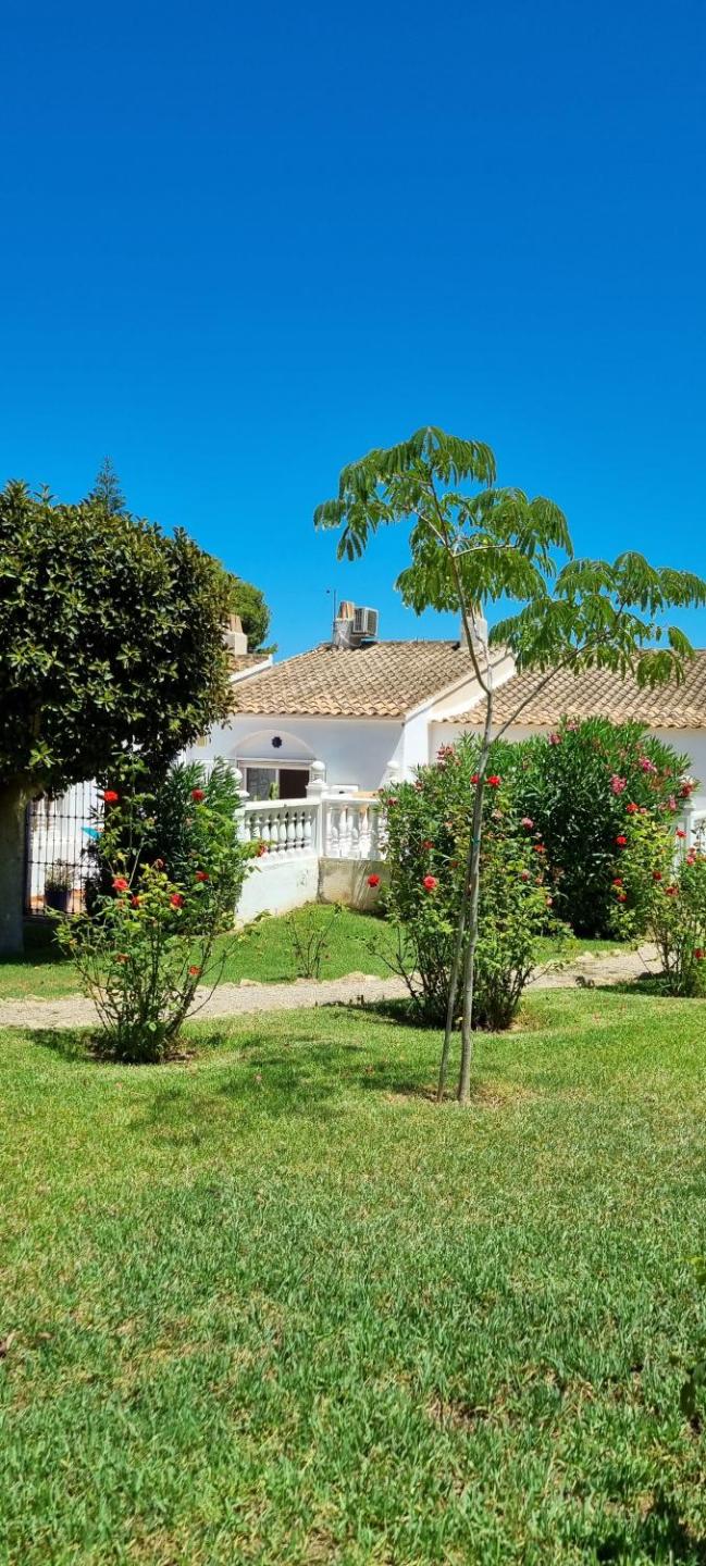 Casa Azul De Agnes - Alicante