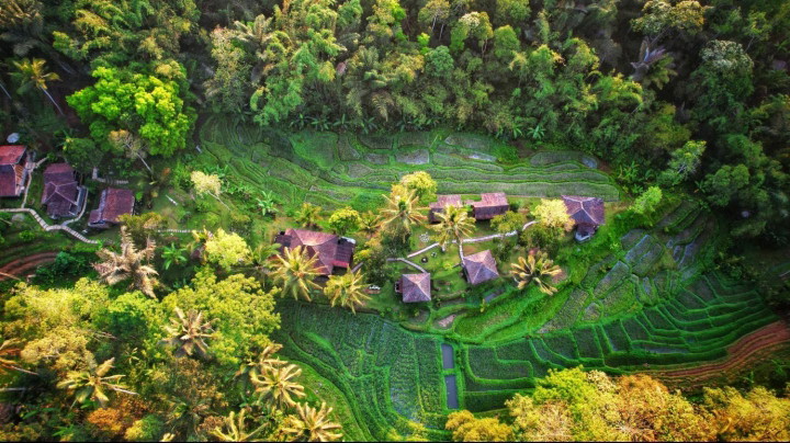 Oemah Tepi Sawah - Bali