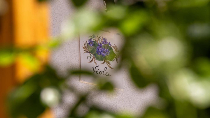 Corte Girodo - Appartamento Viola - Rivoli