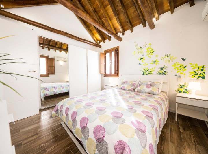 Central Patio Loft - Granada