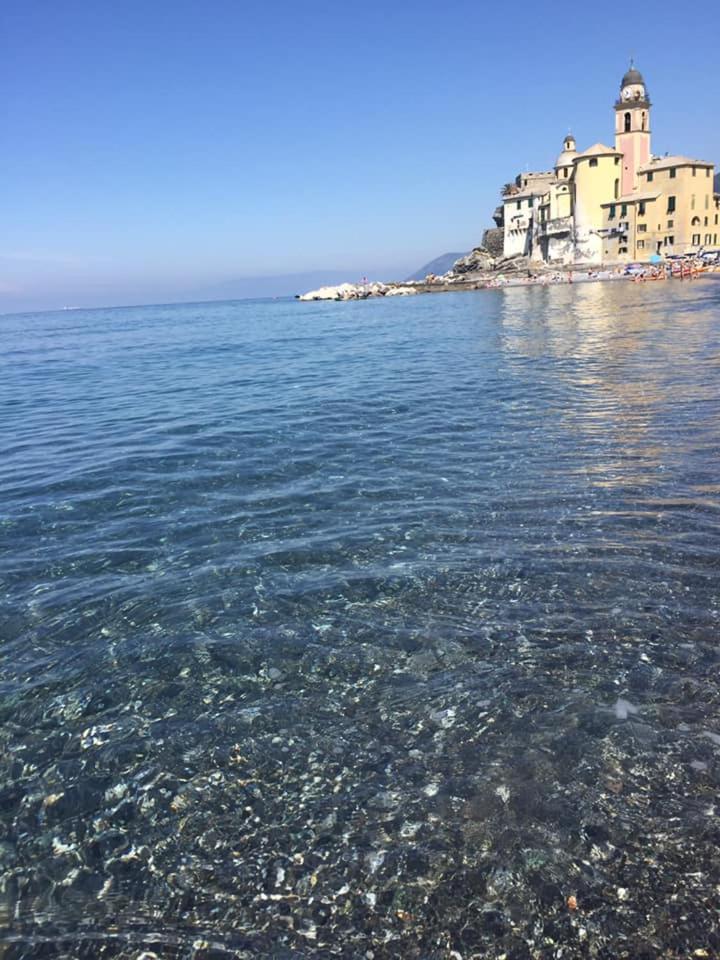 Lamarina - Recco