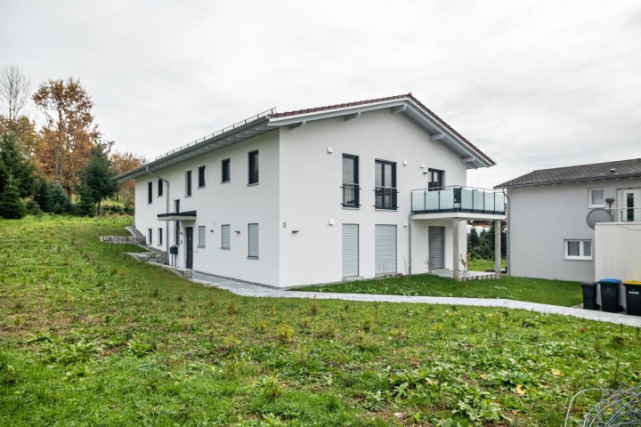 Tanne - Ravensburg