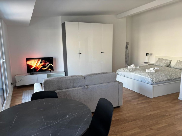 Brand New Apartment On Top Floor With View On The Trains In Lausanne Train Station- 64 - Lausanne