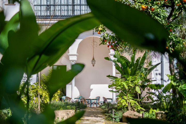 Hotel Boutique Casa Del Limonero - Adults Only - Seville