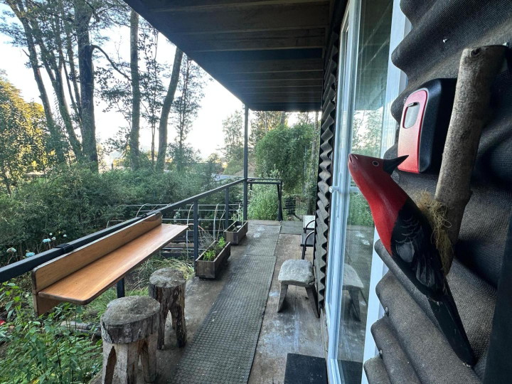 Casita Bosque-rucalemu - Valdivia