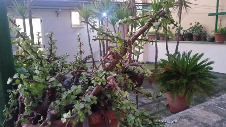 Case Vacanze, La Casa Di Angelo, Con Terrazzo - Oria