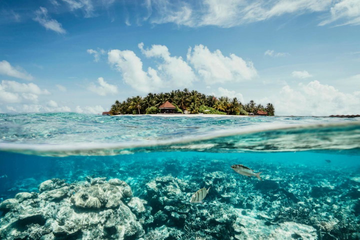 Robinson Maldives - Adults Only - Maldives