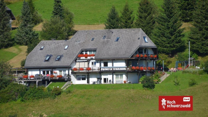 Drei Tannen - Kirchzarten