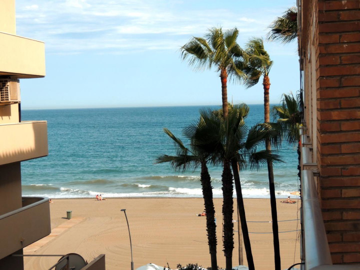 Jardín - Estepona