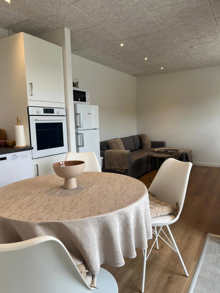 Central Living Billund - By Viktorija - Billund