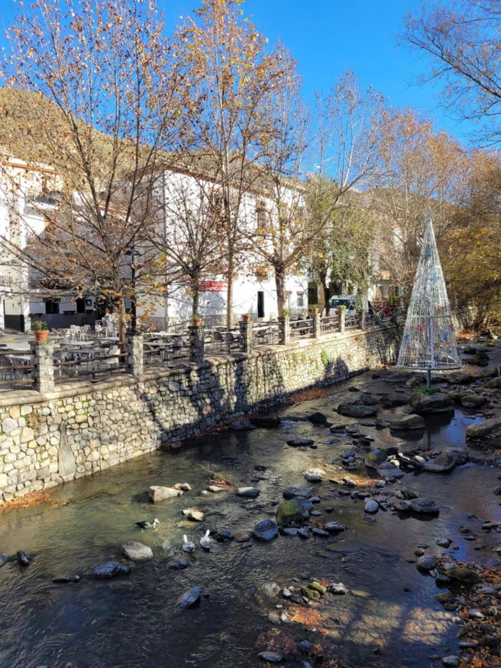 Apartamentos Pinos Genil - Spanien
