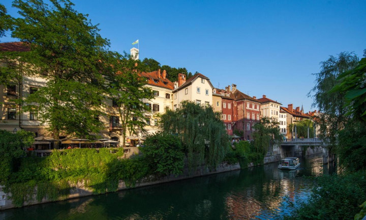 Adhoc Hostel - Alpes
