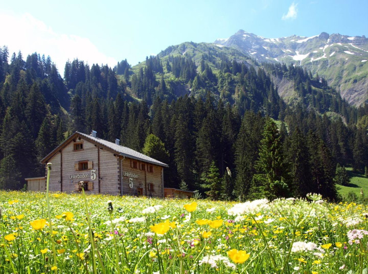 Vital Chalets - Lech