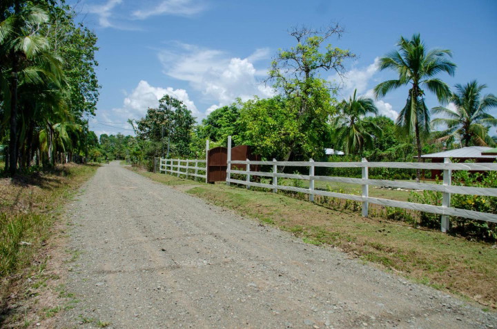 Hospedaje Y Alojamiento Cabañas Don Beto - Costa Rica