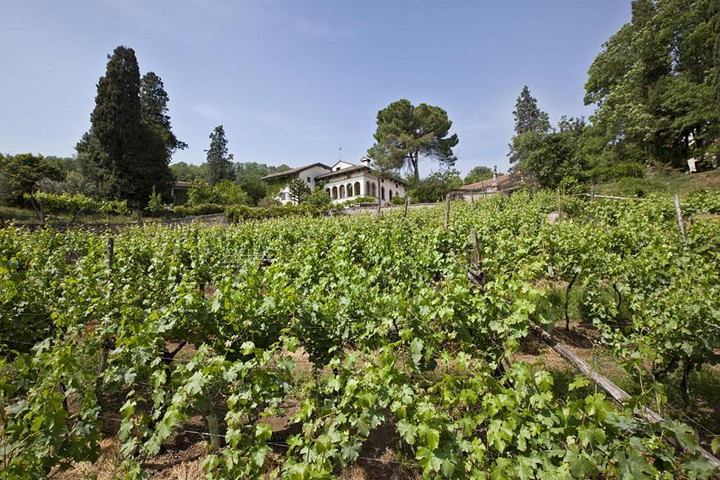 Fattoria Le Vegre - Vicenza