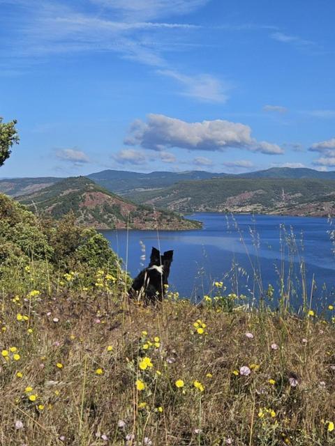 Mas Carlo 3 Les Sevières 153 Chemin De Saint Sixte - Lac du Salagou