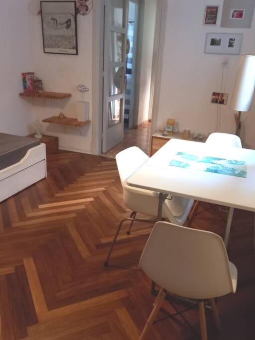 Cálido Apartamento A 8 Cuadras Del Mar Y A 3 De 18 Julio Estarán Acompañados Por Una Gatita Que Vive Alli - Montevideo