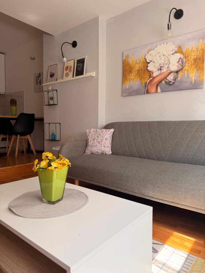 Mia’s Duplex Apartment - Skopje
