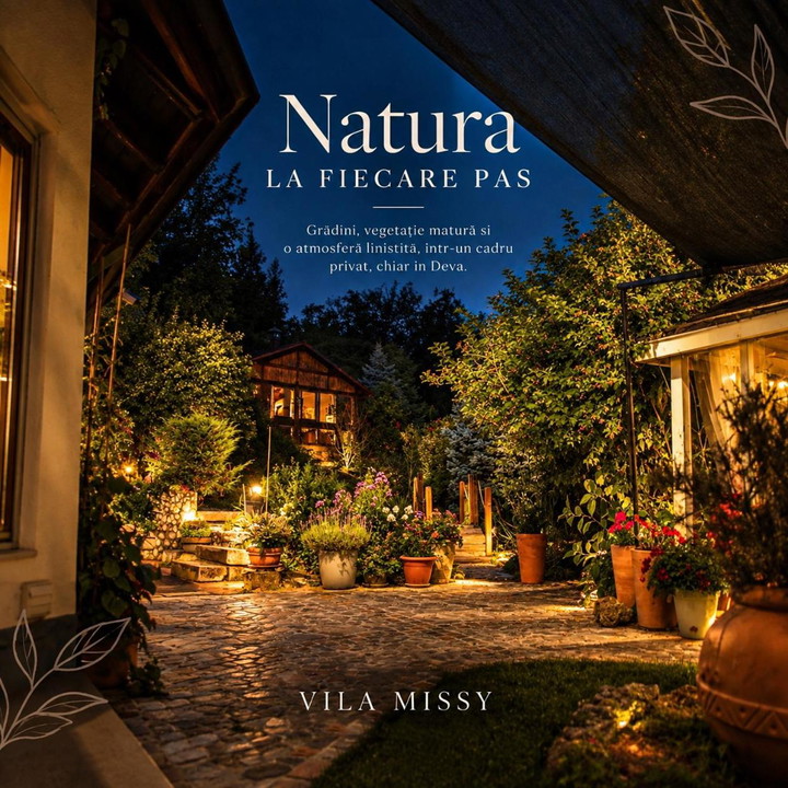 Vila Missy - Deva