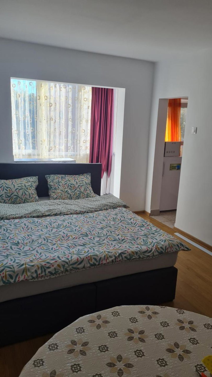 Studio Chic Symphony Parcare Privata - Arad