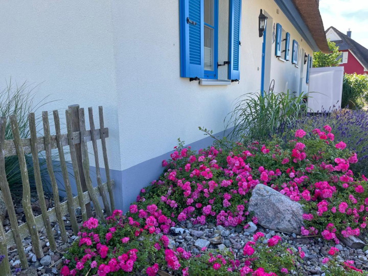 Ferienhäuser Luv Und Lee Ovs 106 Neu 20 - Wismar