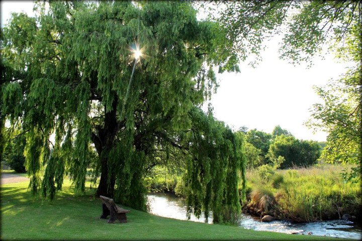 Aqua Terra Guest House - Lydenburg