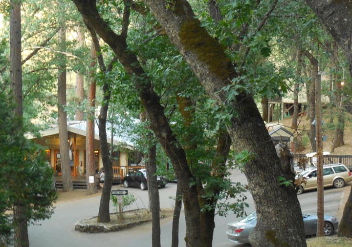 Yosemite Bug Rustic Mountain Resort - California
