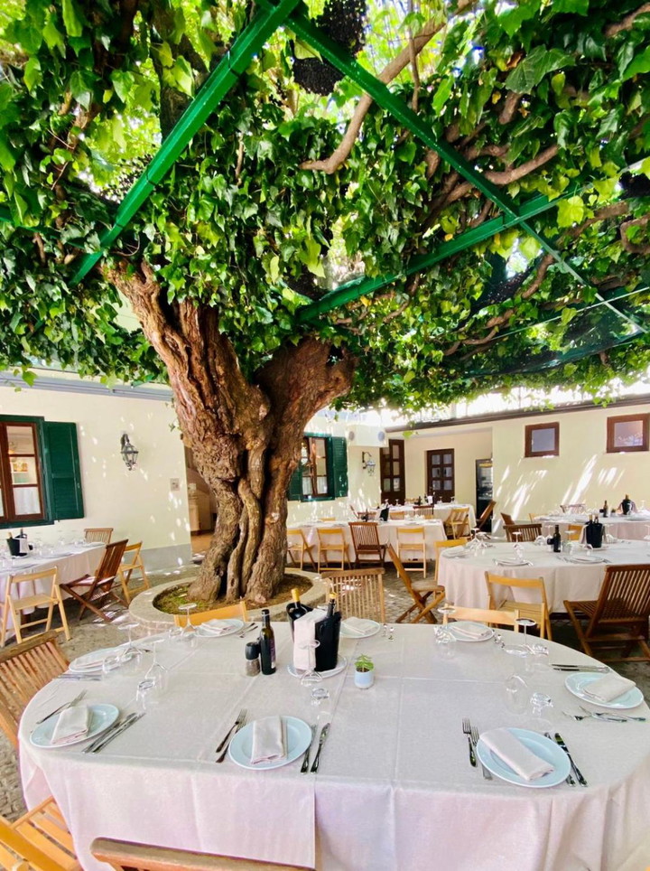 Antica Locanda Al Gelso - Monfalcone