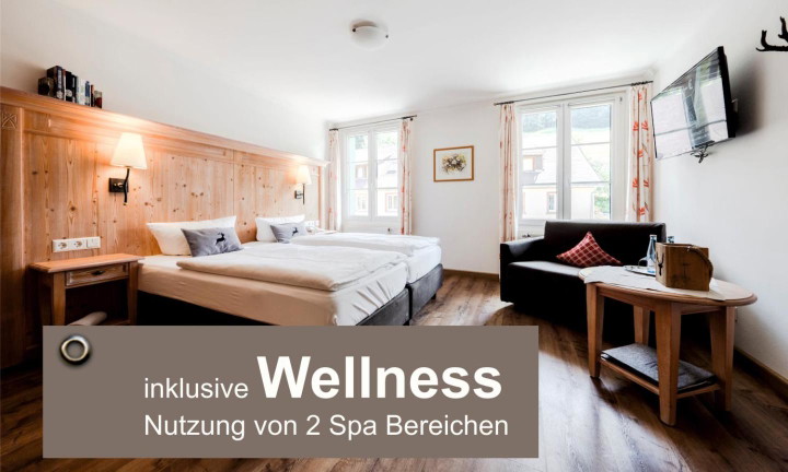 Grüner Baum Naturparkhotel & Schwarzwald-restaurant - Kirchzarten