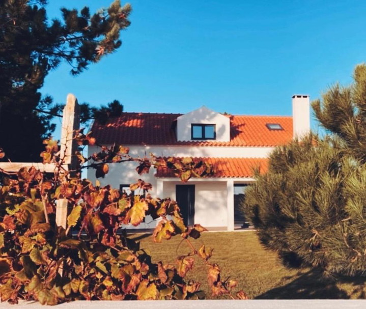 45 Pines West - Portugal