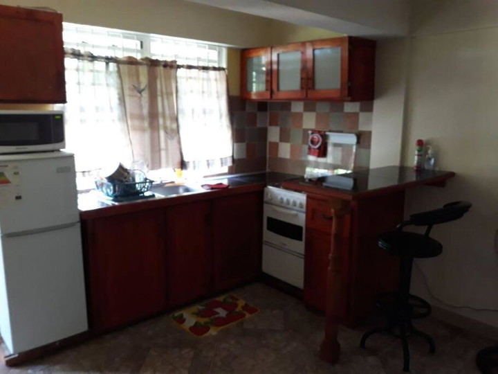 Home Style Apartment J - Dominica