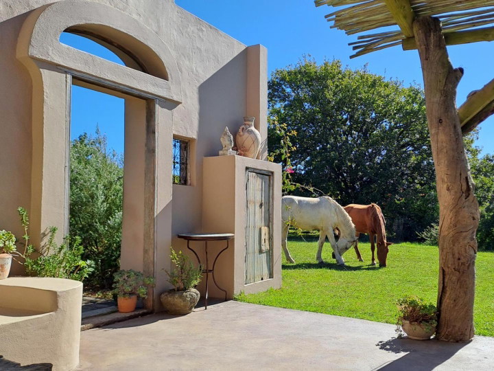 Akasha Mountain Retreat - South Africa